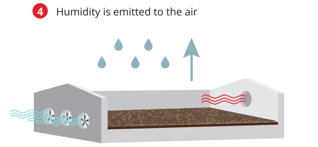 Profitable farming | Spanvall