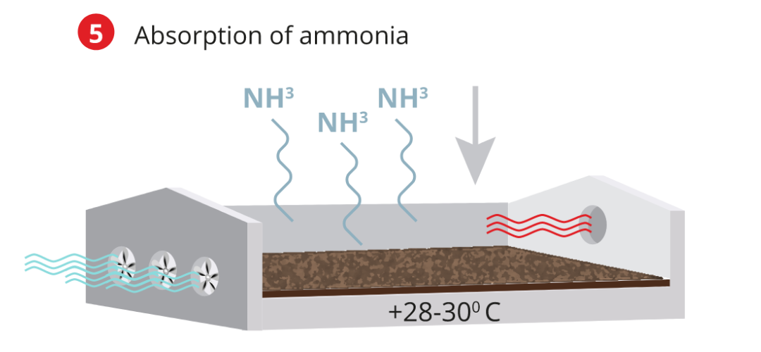 Profitable farming | Spanvall