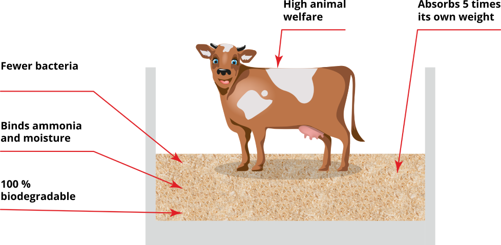 Orange Spanvall | Spanvall