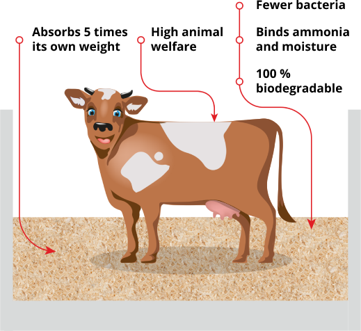 Orange Spanvall | Spanvall