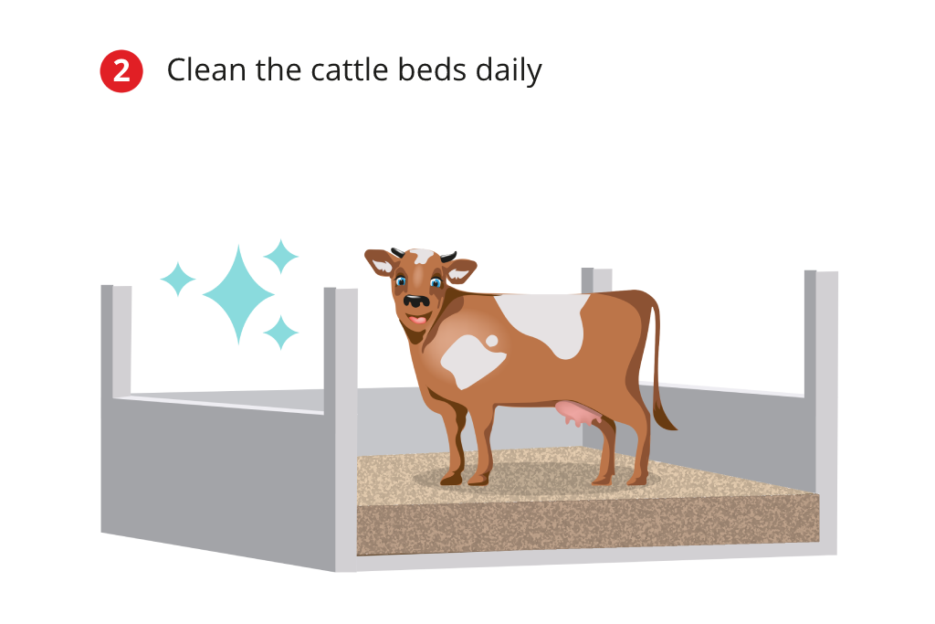 Orange Spanvall | Spanvall