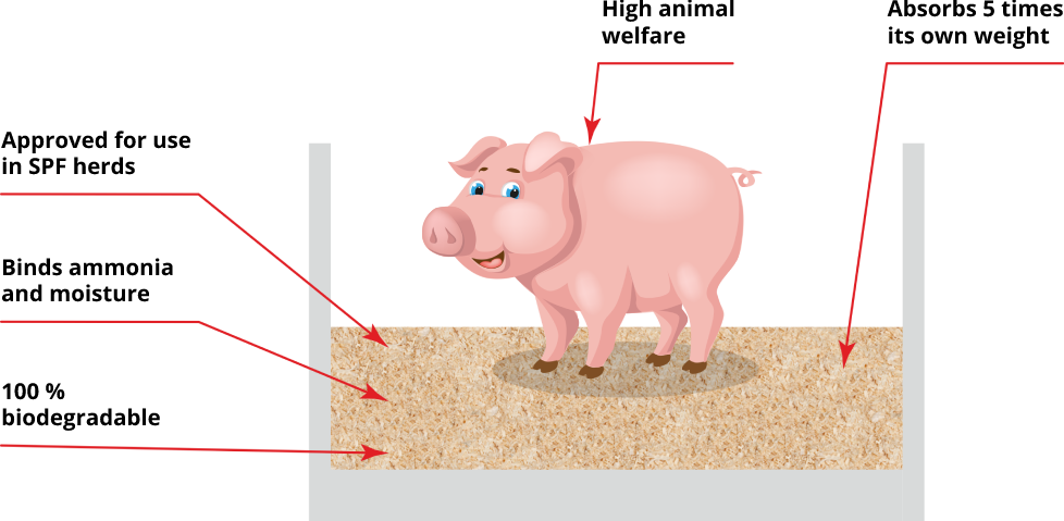 Red Spanvall | Spanvall