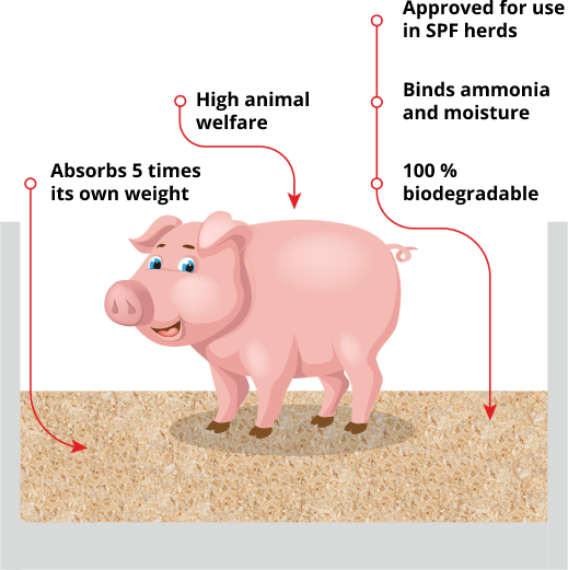 Red Spanvall | Spanvall