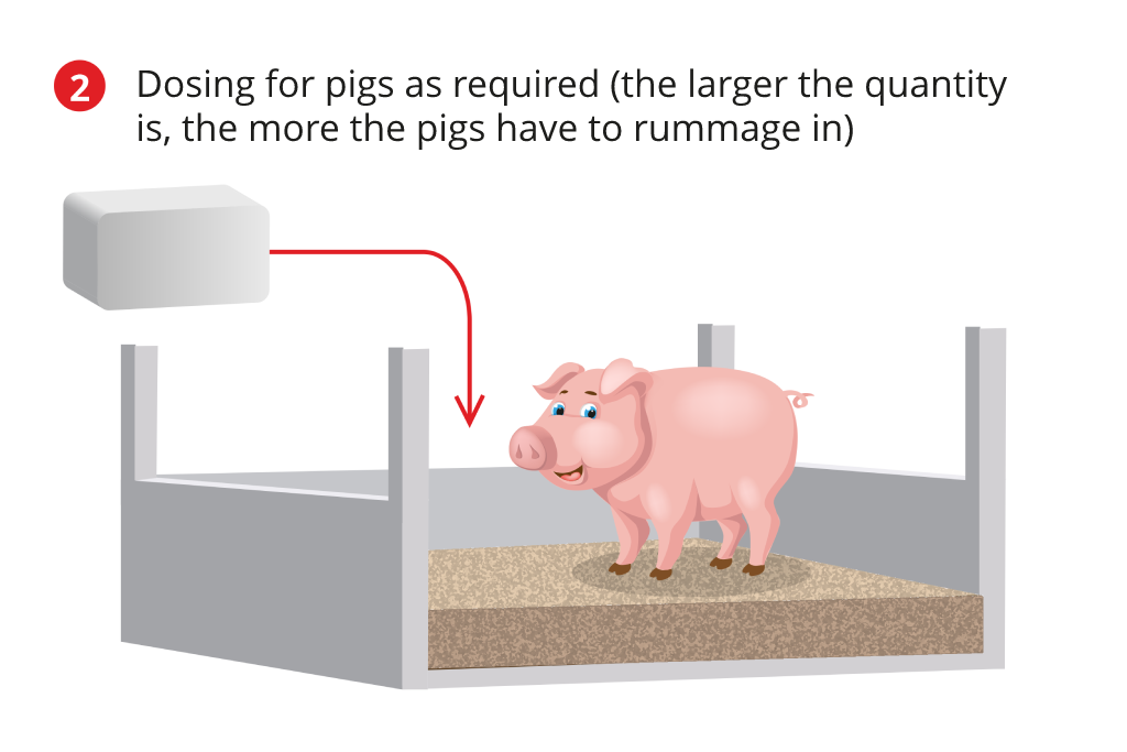 Red Spanvall | Spanvall