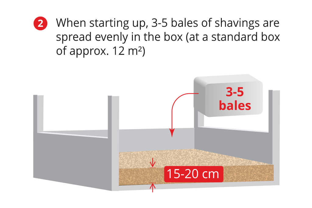 XL Wood Shavings | Spanvall