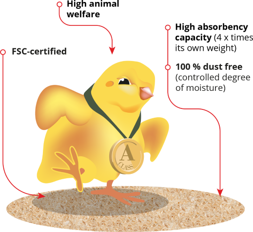 Blue Spanvall | Spanvall