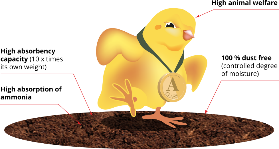 Plant Fibre | Spanvall